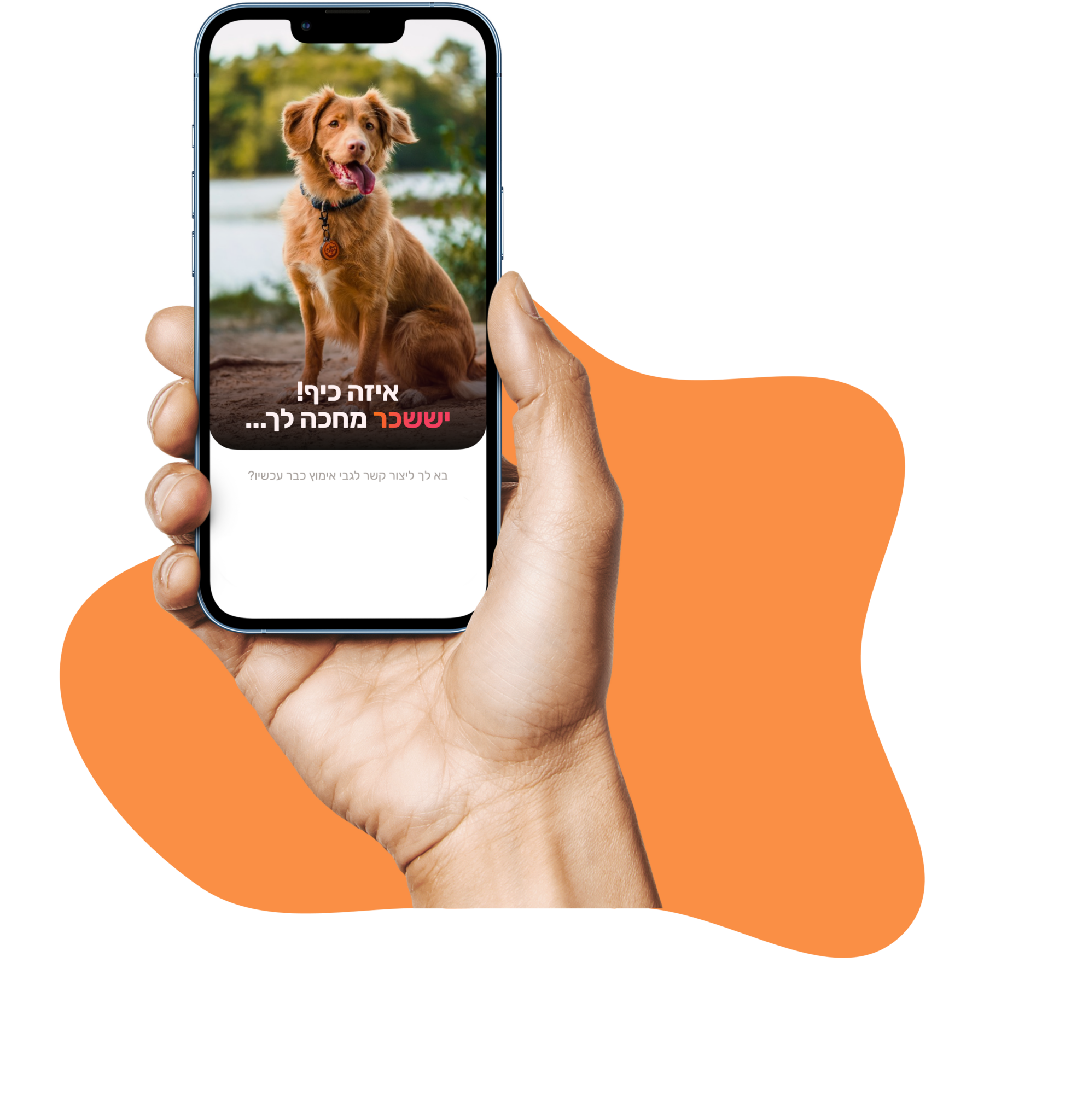 Adopt-Me | The Smart Dog and Cat Adoption App