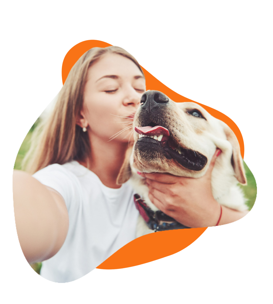 Adopt-Me | The Smart Dog and Cat Adoption App